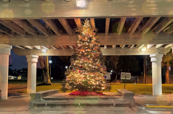 La Colonia Holiday Tree Lighting | Solana Beach